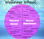 Intro to Health/Wellness Wheel | Health and Happiness