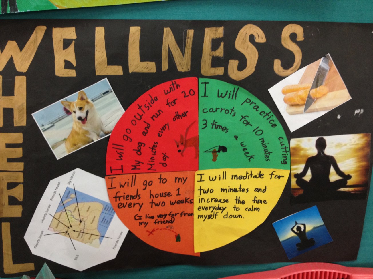 Intro to Health/Wellness Wheel | Health and Happiness